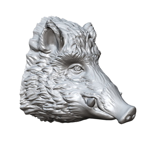 boar head sculpture 3D Model 3D printable OBJ STL | CGTrader.com