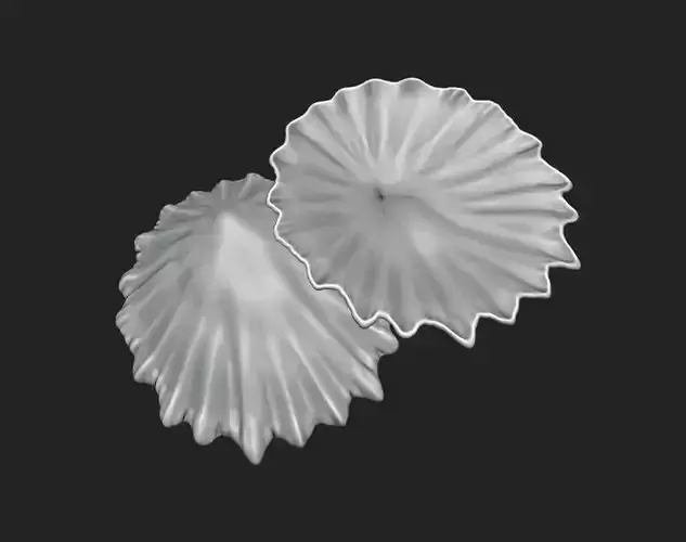 Barnacle 3D print model set of shells 3D model 3D printable | CGTrader