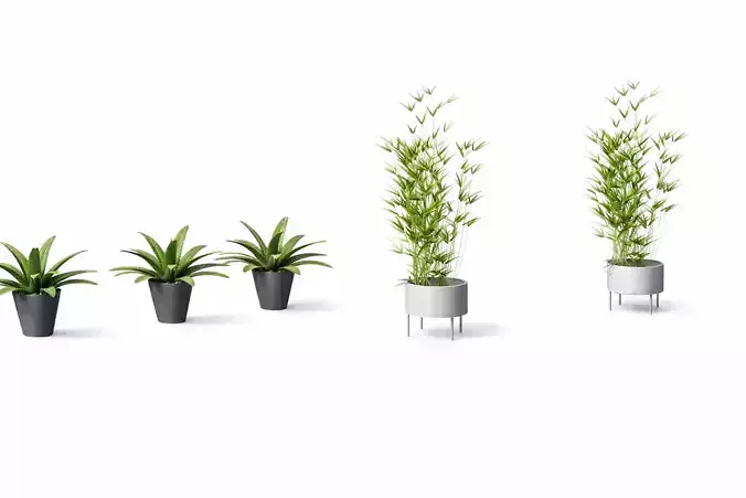 plant pot free 3D model 3D printable | CGTrader