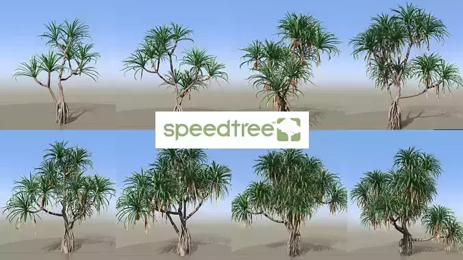 3D model Pandanus tectorius - Screw Pine - SpeedTree VR / AR / low-poly ...