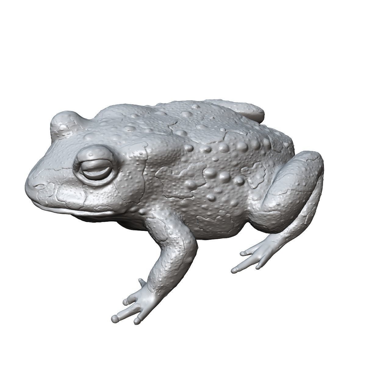toad sculpture 3D model 3D printable | CGTrader