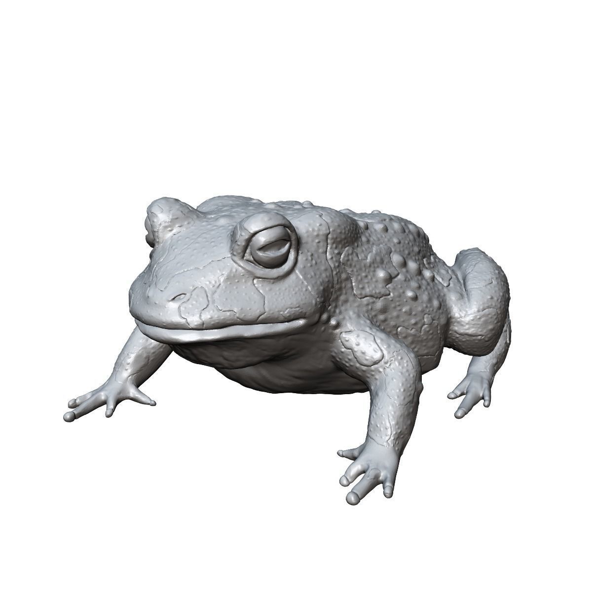 toad sculpture 3D model 3D printable | CGTrader