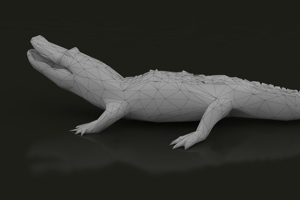 3D model Low Poly Alligator Crocodile VR / AR / low-poly | CGTrader