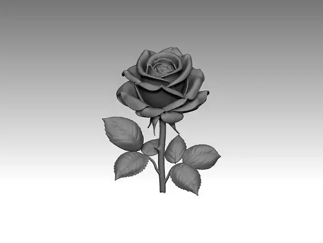 rugosa rose free 3D model 3D printable | CGTrader