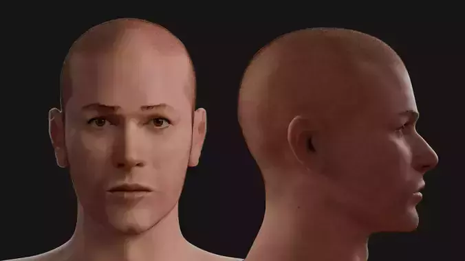 Male Human Body - Base Mesh 3D Model 3D model | CGTrader