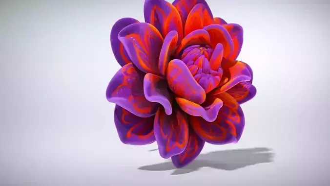 3D model Vibrant Starburst Flower model pack VR / AR / low-poly | CGTrader
