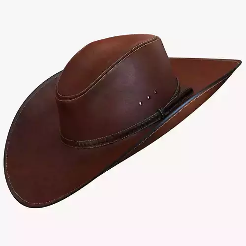 3D model Cowboy Hat PBR Textures VR / AR / low-poly | CGTrader