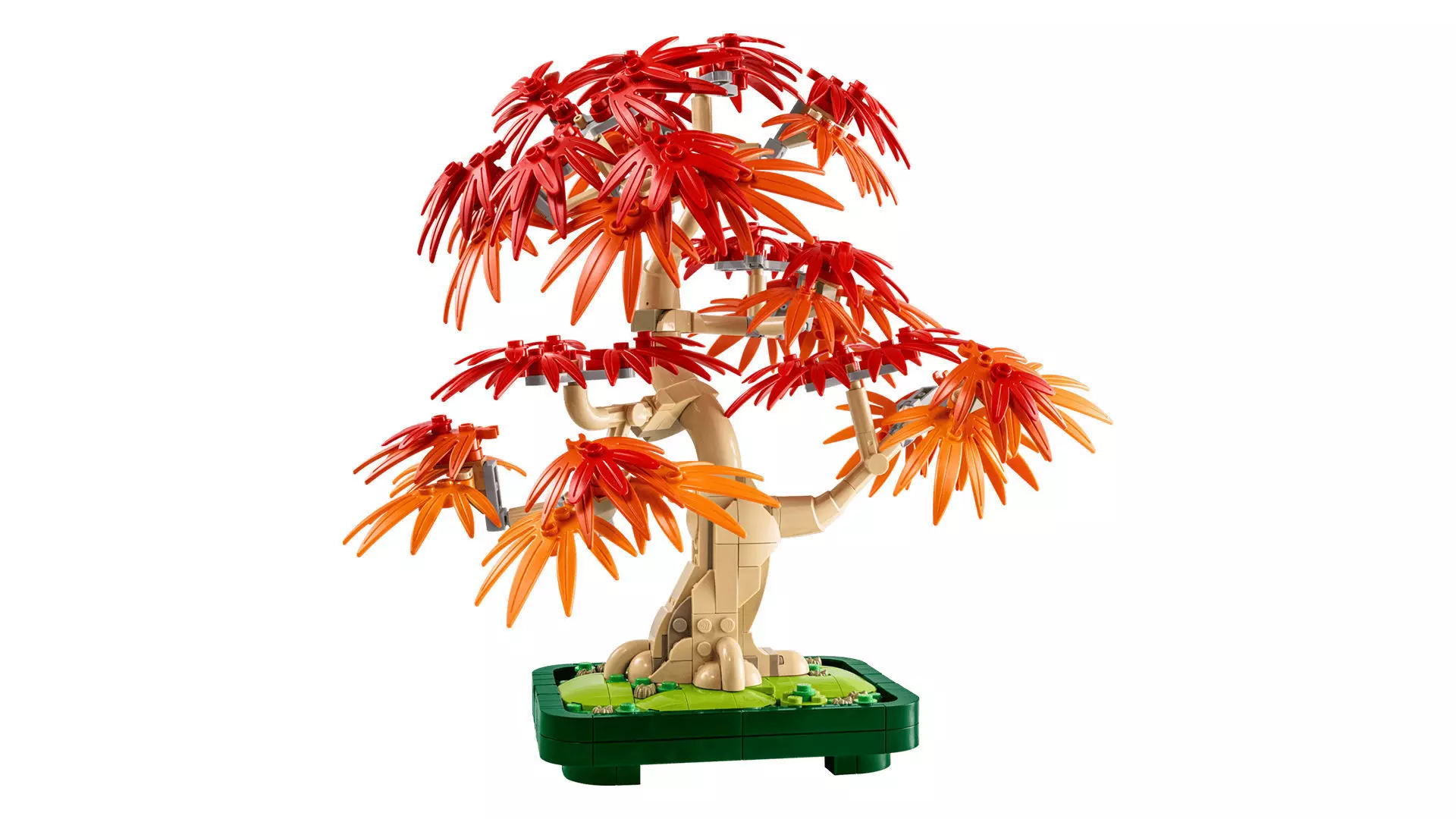 TwindBricks3D - 10348 Japanese Red Maple Bonsai Tree 3D model 3D ...