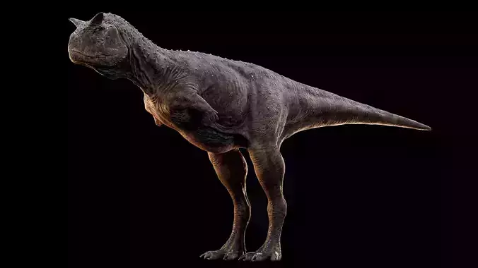 3D model Carnotaurus Rig VR / AR / low-poly | CGTrader