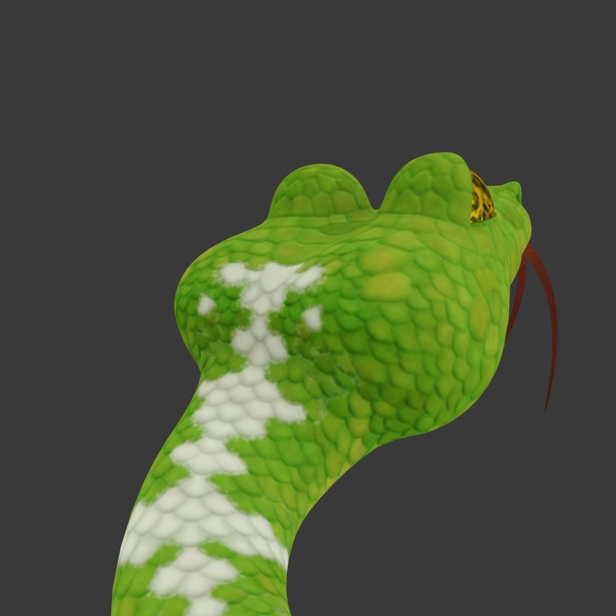 Cartoon snake 3D model | CGTrader