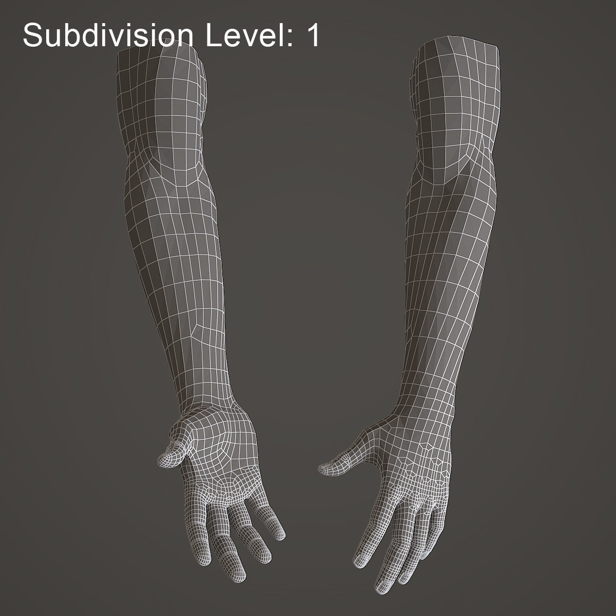 Male arms 3D model rigged | CGTrader