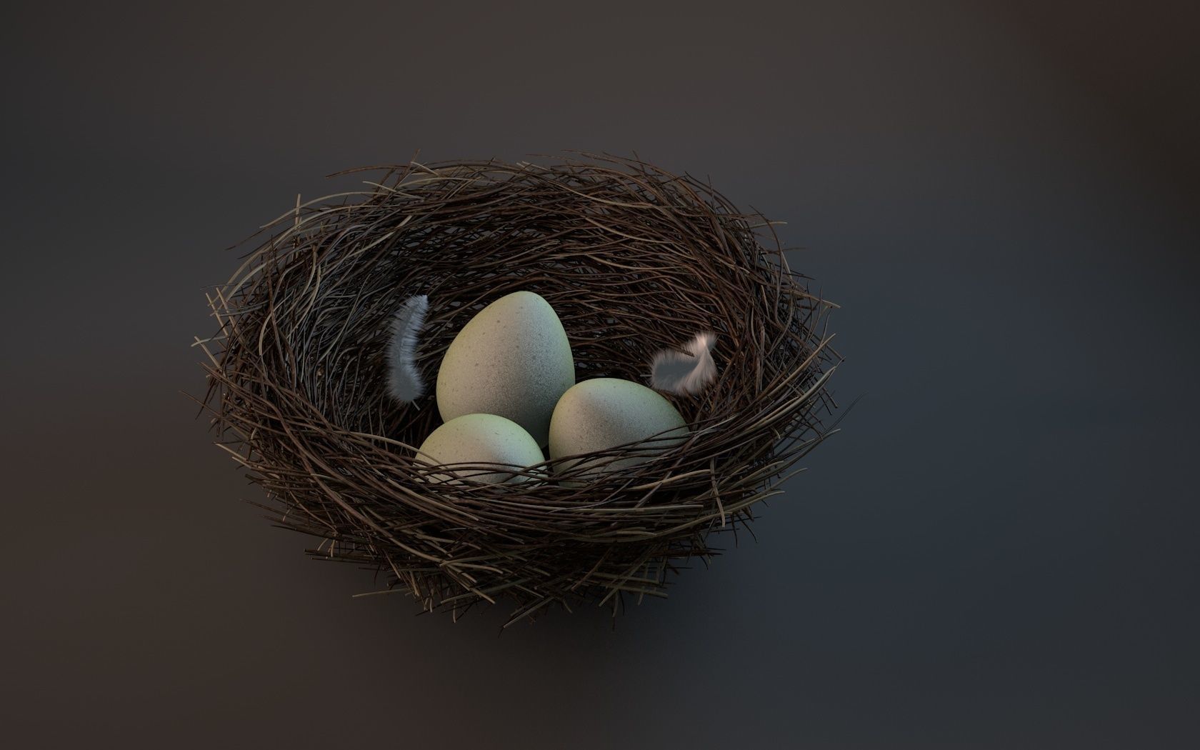 Bird nest 3D model | CGTrader