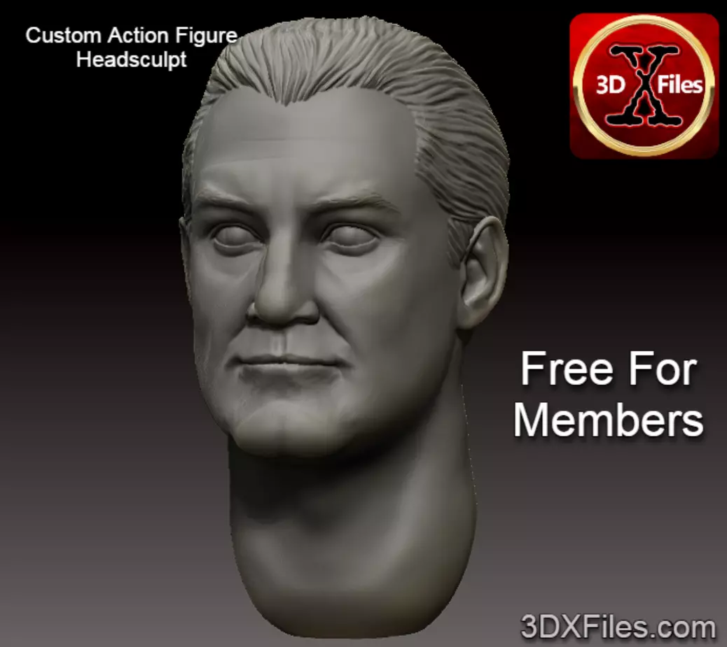 George Reeves - Superman - Action Figure Headsculpt - STL 3D model 3D ...