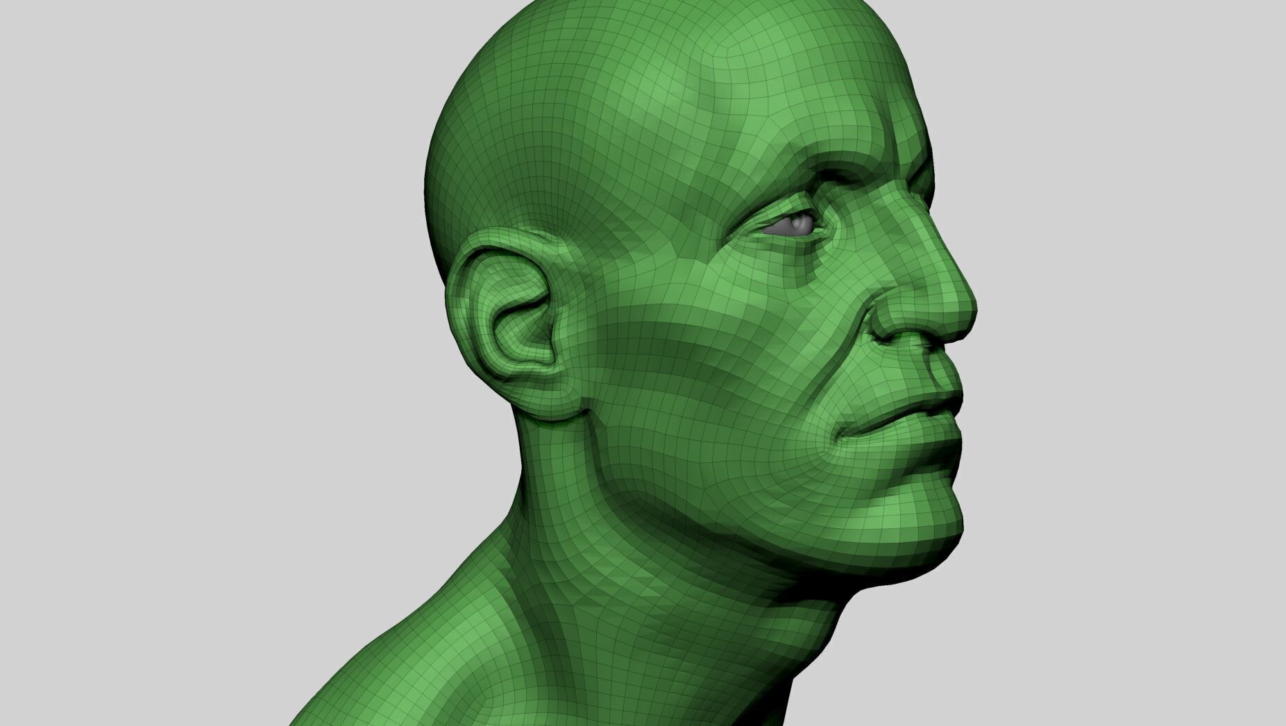 Male Head Base Anatomy 3D model | CGTrader