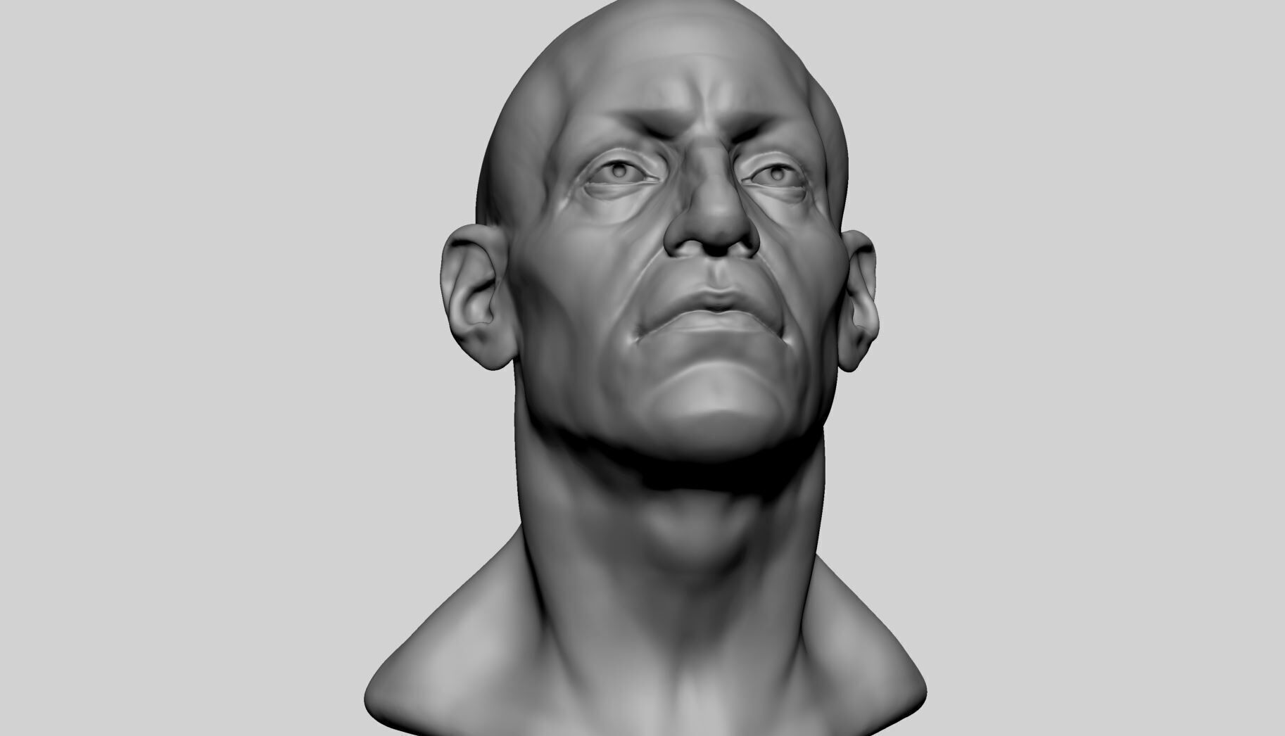 Male Head Base Anatomy 3D model | CGTrader
