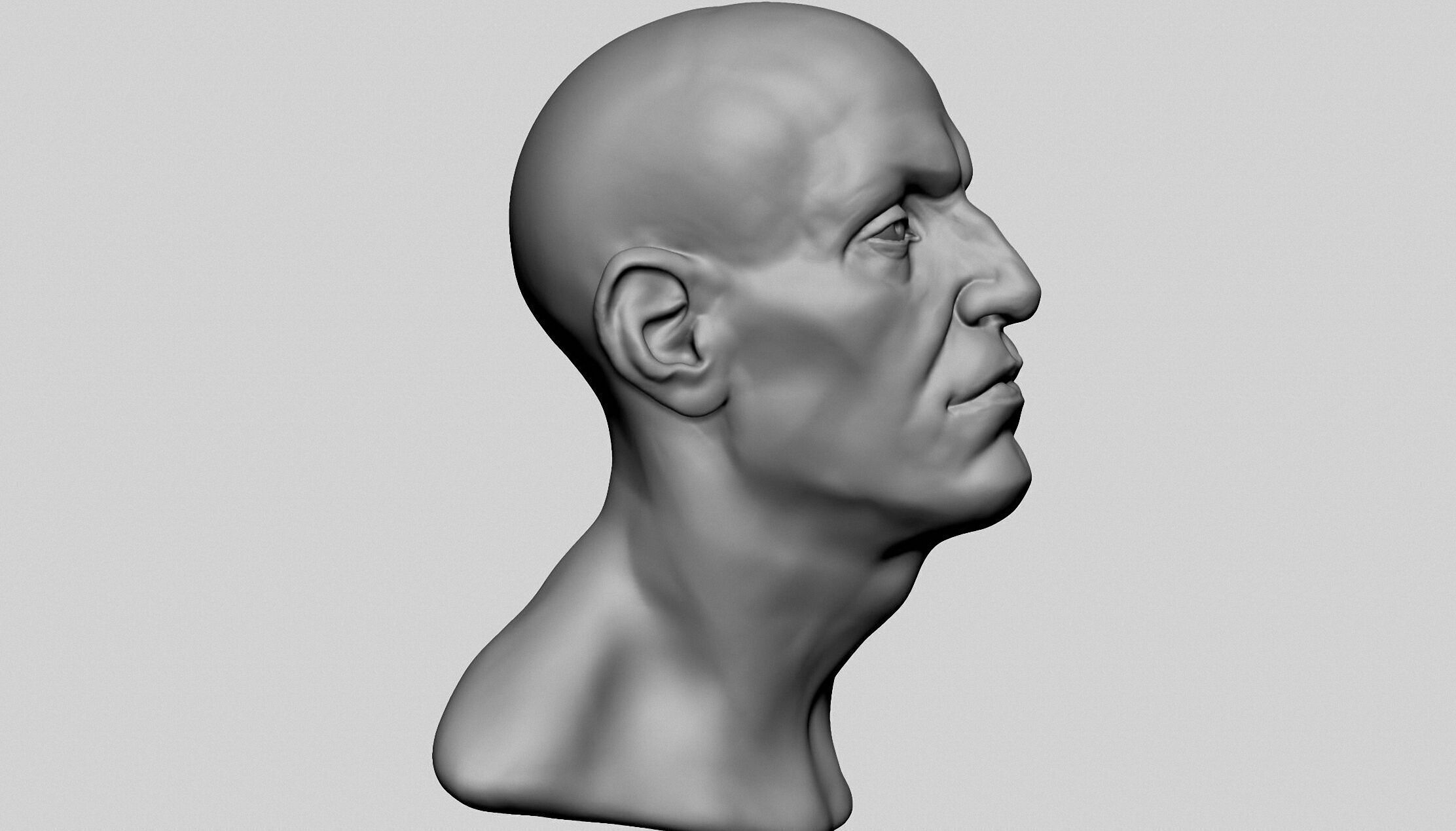 Male Head Base Anatomy 3D model | CGTrader