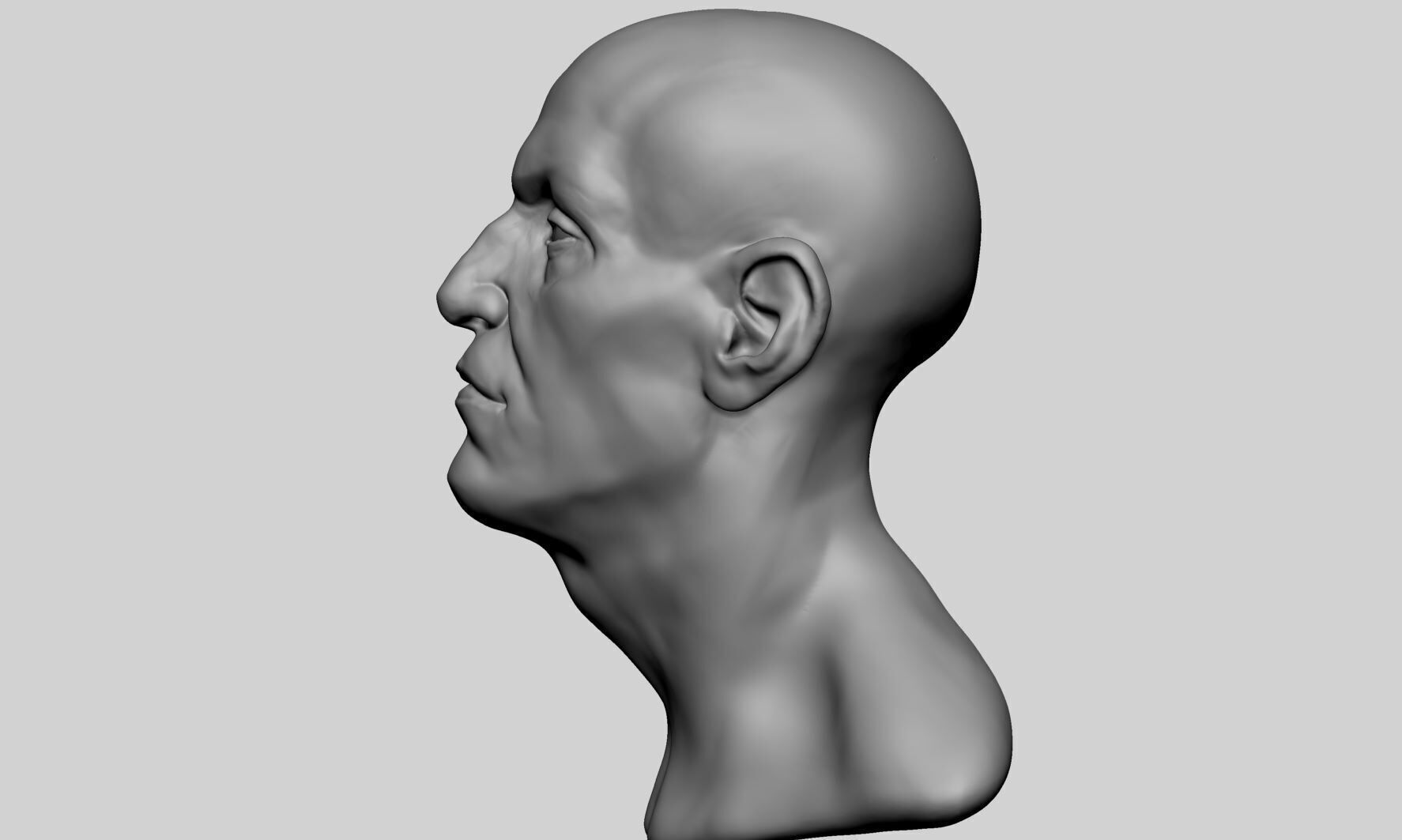 Male Head Base Anatomy 3D model | CGTrader