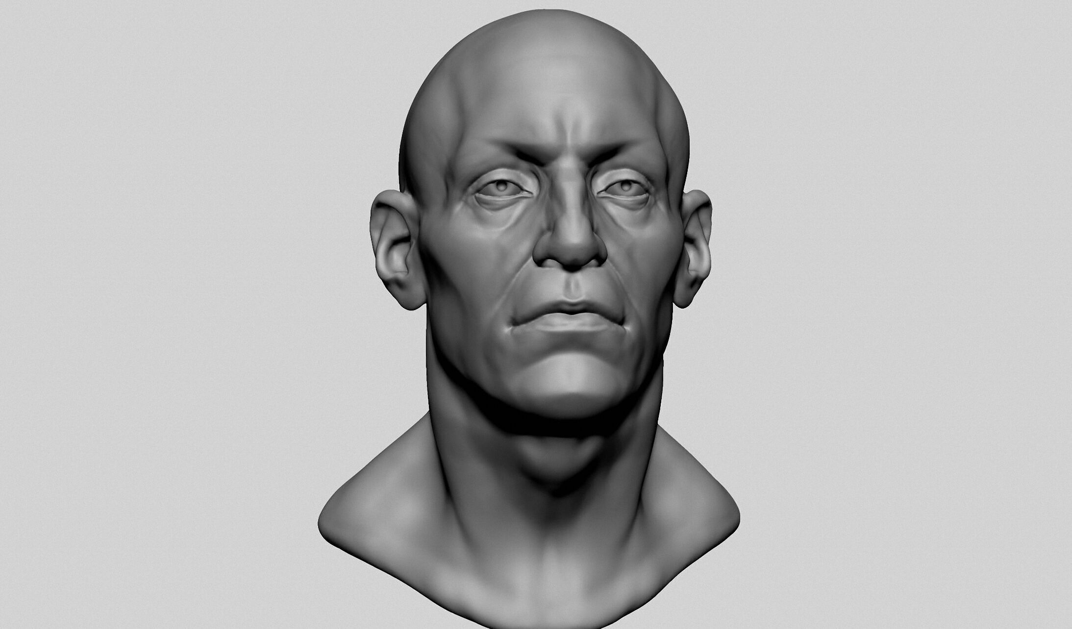 Male Head Base Anatomy 3D model | CGTrader