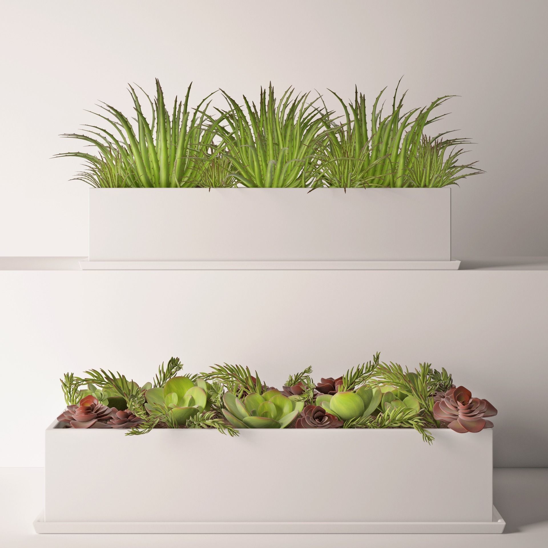 Houseplant 2 set of planters with plants 3D model | CGTrader