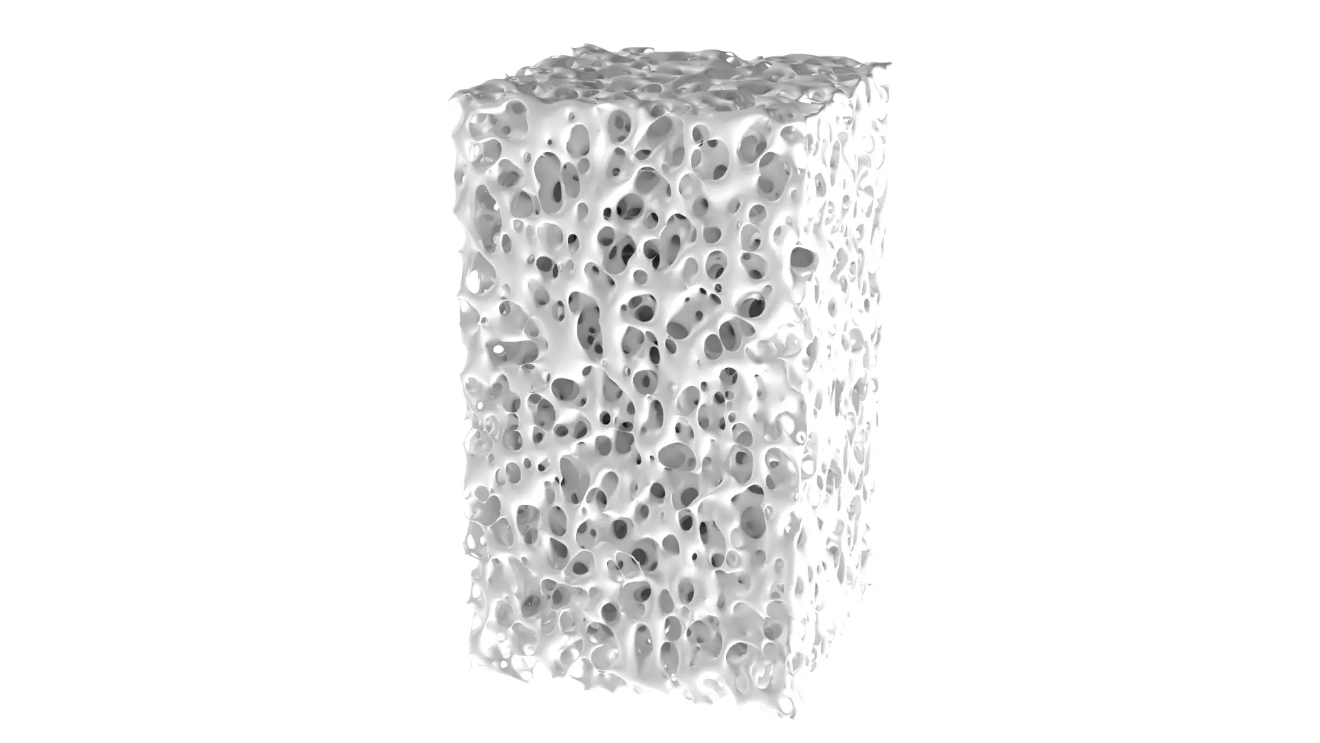 Bone Structure PBR 3D model | CGTrader