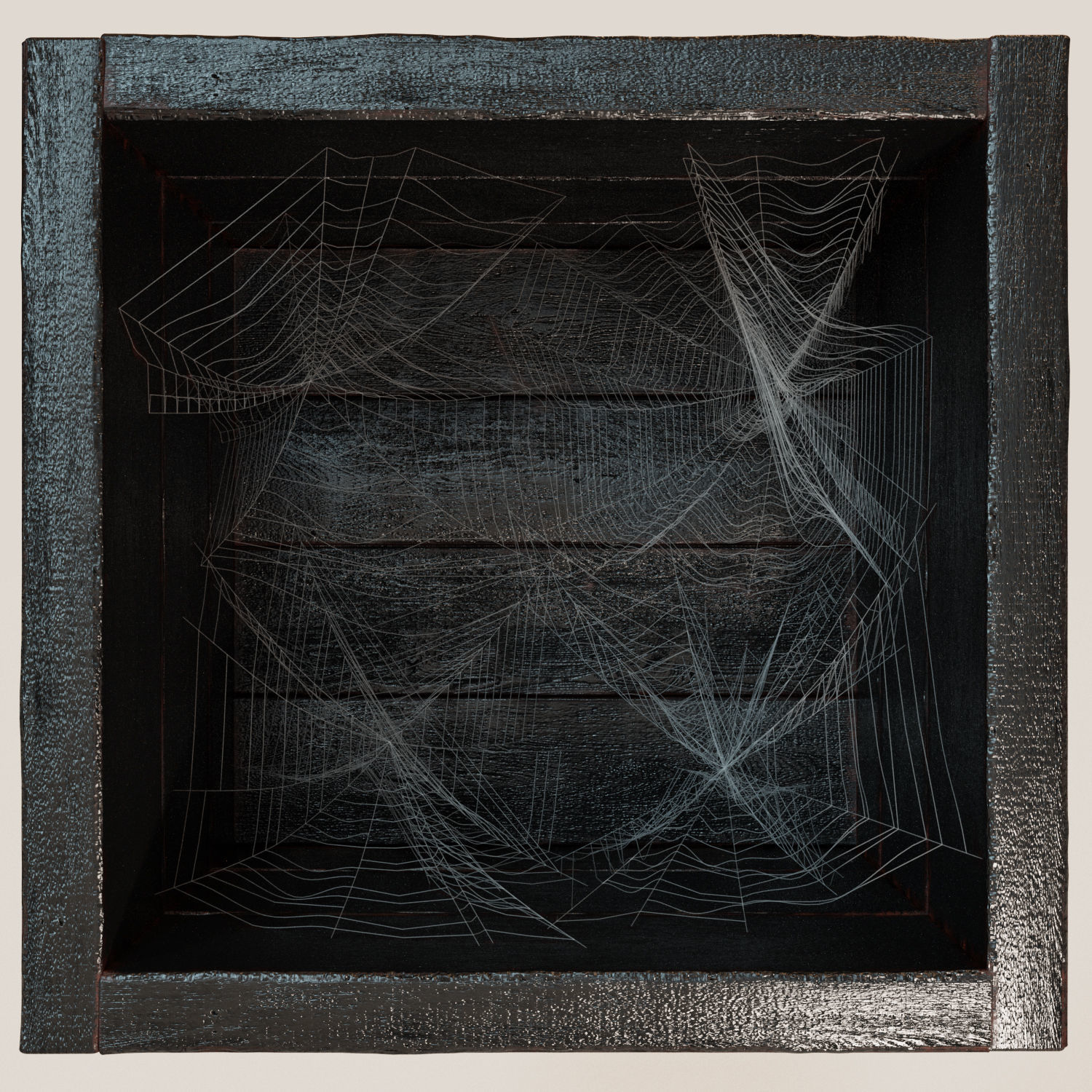 Spiderweb for shelves 3D model | CGTrader