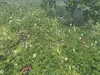 3D model ROBLOX Forest Floor and Undergrowth Pack VR / AR / low-poly ...