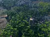 3D model ROBLOX Forest Floor and Undergrowth Pack VR / AR / low-poly ...