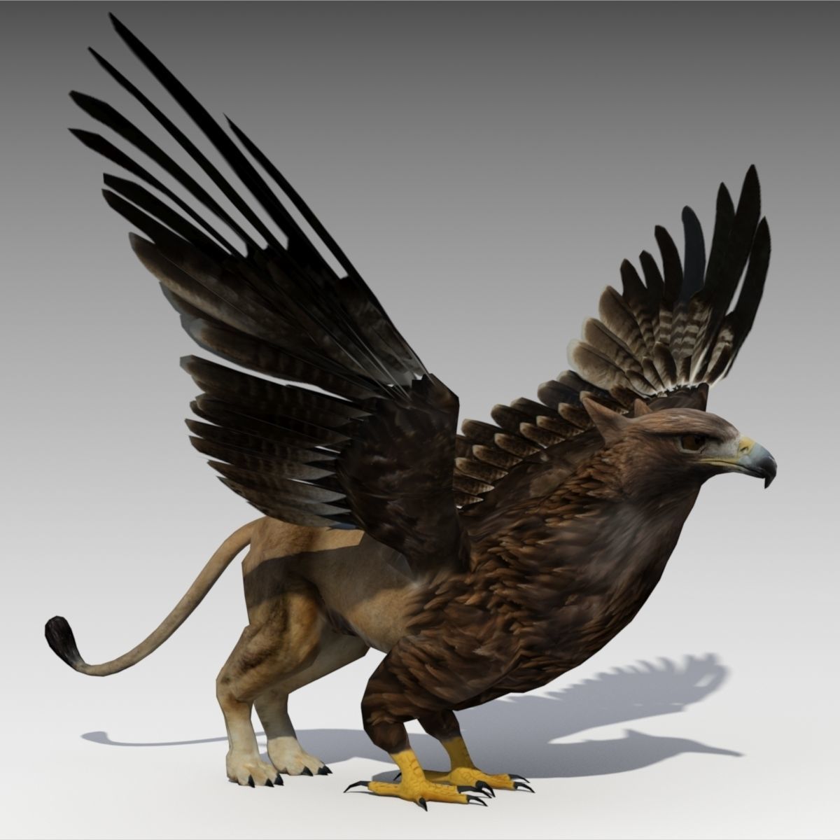 3D model Griffin Animated VR / AR / low-poly rigged animated | CGTrader