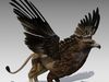 3D model Griffin Animated VR / AR / low-poly rigged animated | CGTrader
