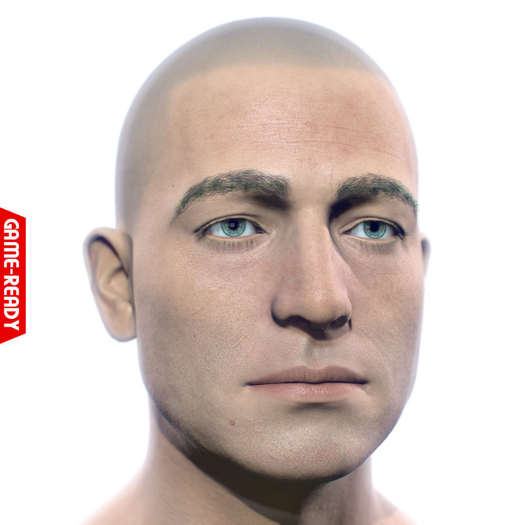 3D model Average Caucasian Male Head VR / AR / low-poly | CGTrader