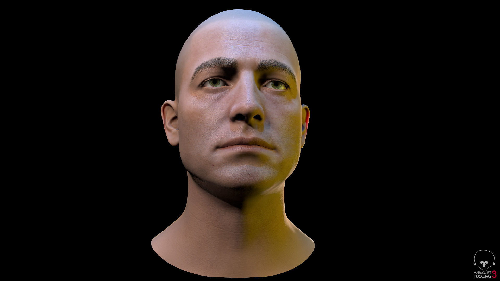 3D model Average Caucasian Male Head VR / AR / low-poly | CGTrader