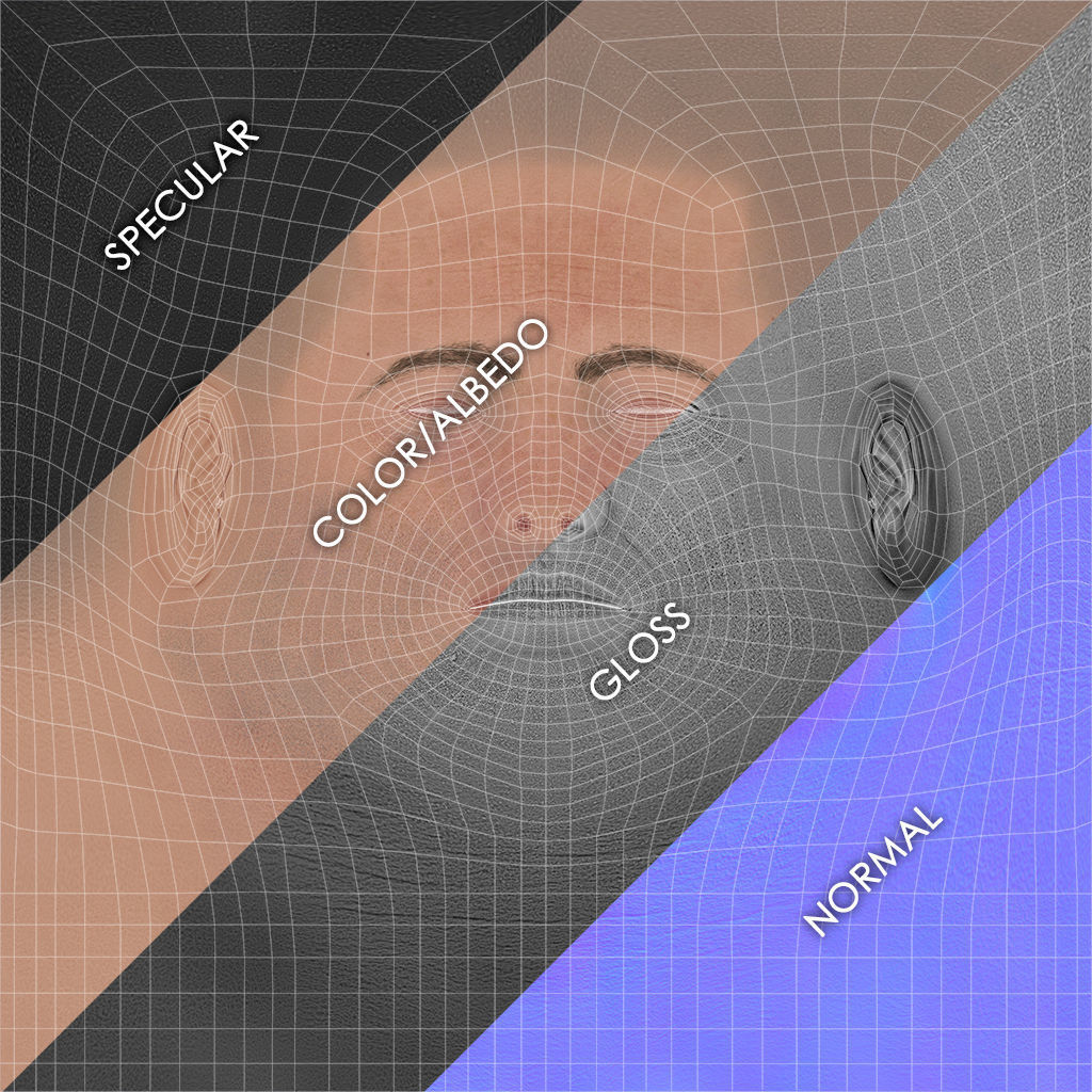 3D model Average Caucasian Male Head VR / AR / low-poly | CGTrader