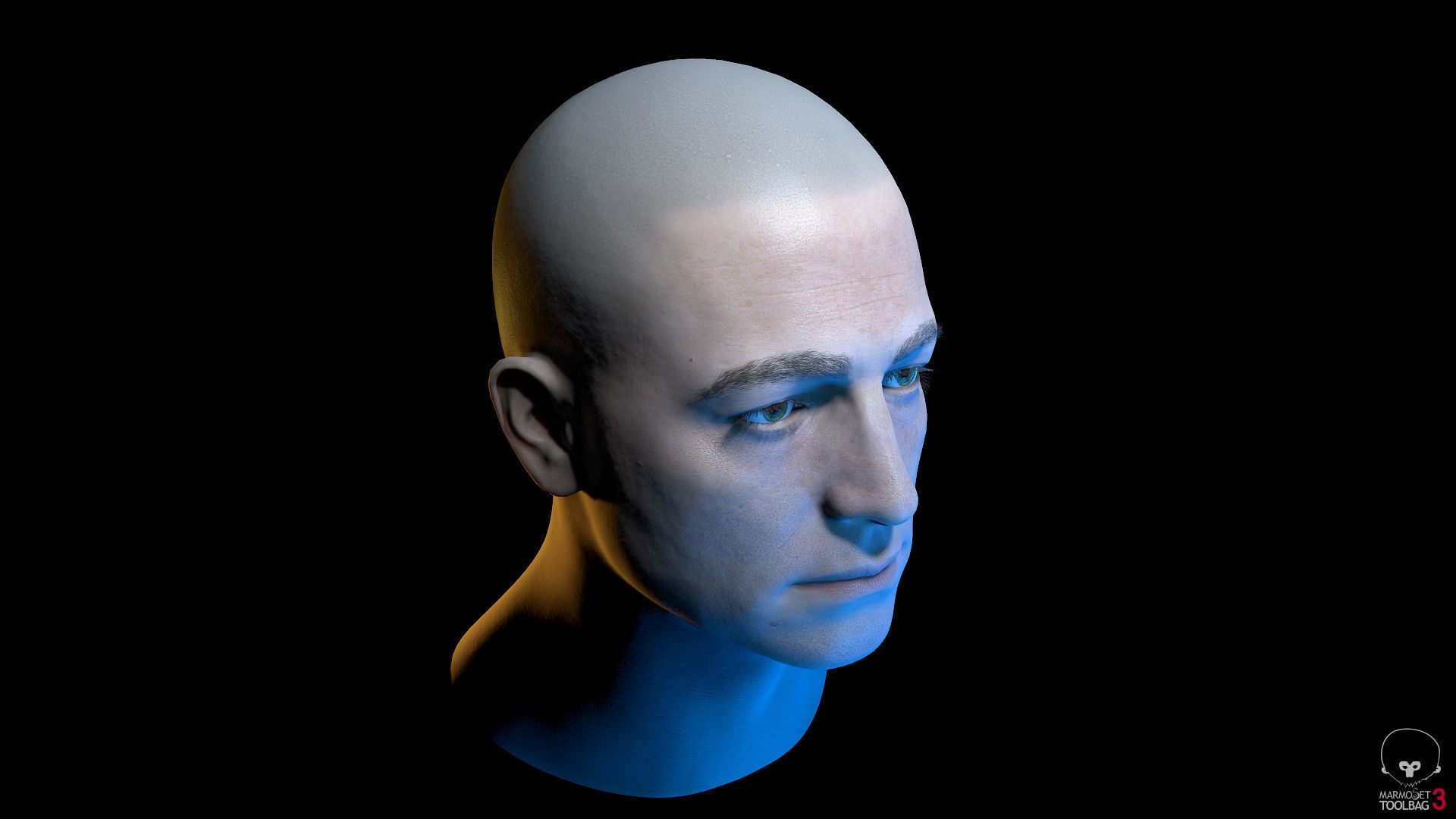 3D model Average Caucasian Male Head VR / AR / low-poly | CGTrader