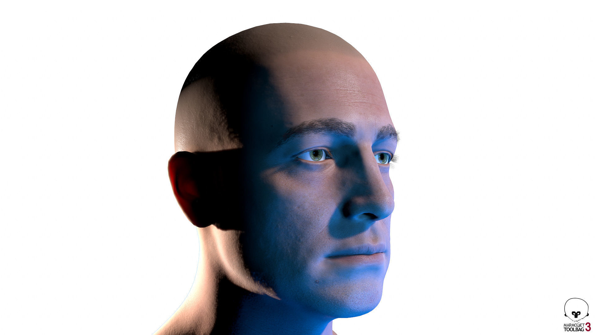 3D model Average Caucasian Male Head VR / AR / low-poly | CGTrader