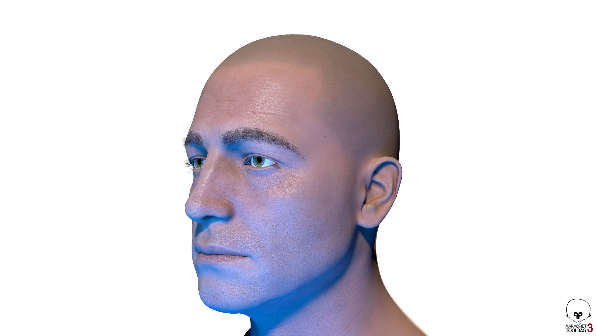3D model Average Caucasian Male Head VR / AR / low-poly | CGTrader