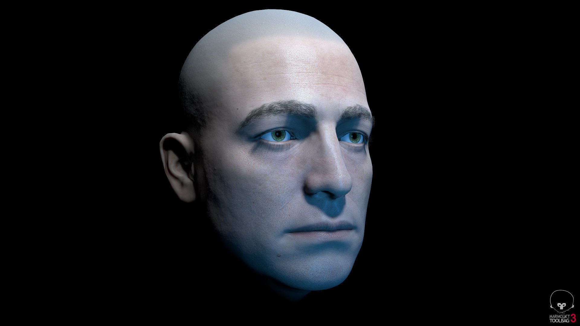 3D model Average Caucasian Male Head VR / AR / low-poly | CGTrader