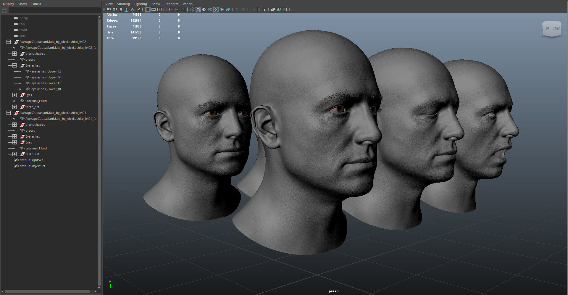 3D model Average Caucasian Male Head VR / AR / low-poly | CGTrader