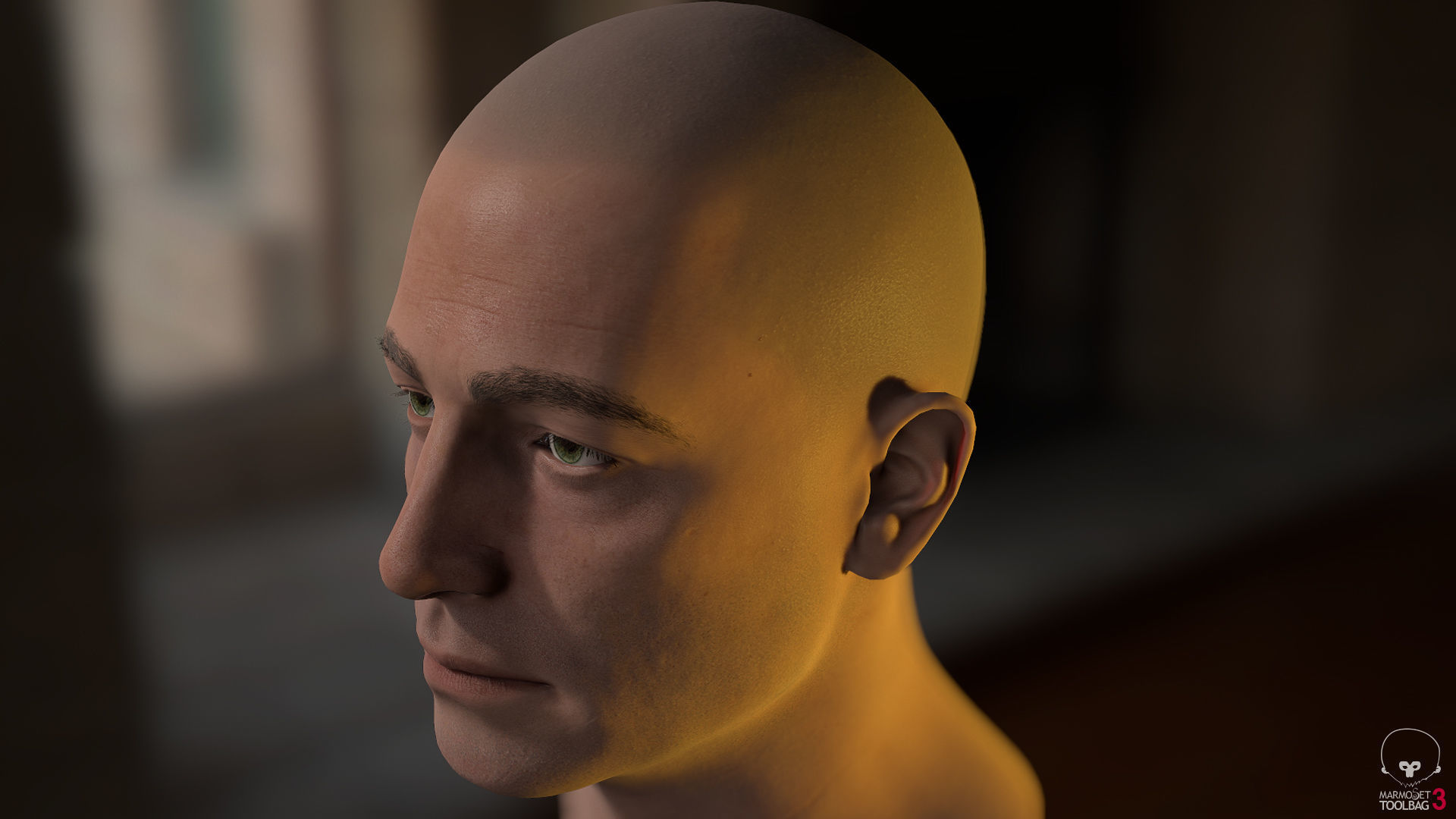 3D model Average Caucasian Male Head VR / AR / low-poly | CGTrader