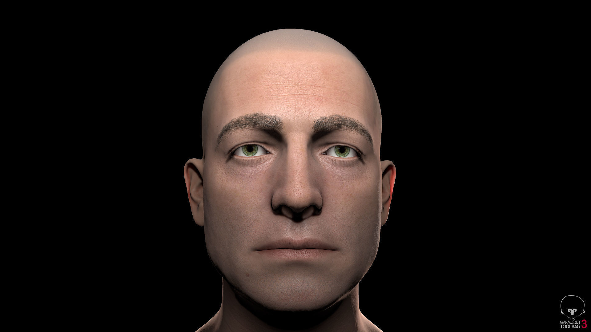 3D model Average Caucasian Male Head VR / AR / low-poly | CGTrader