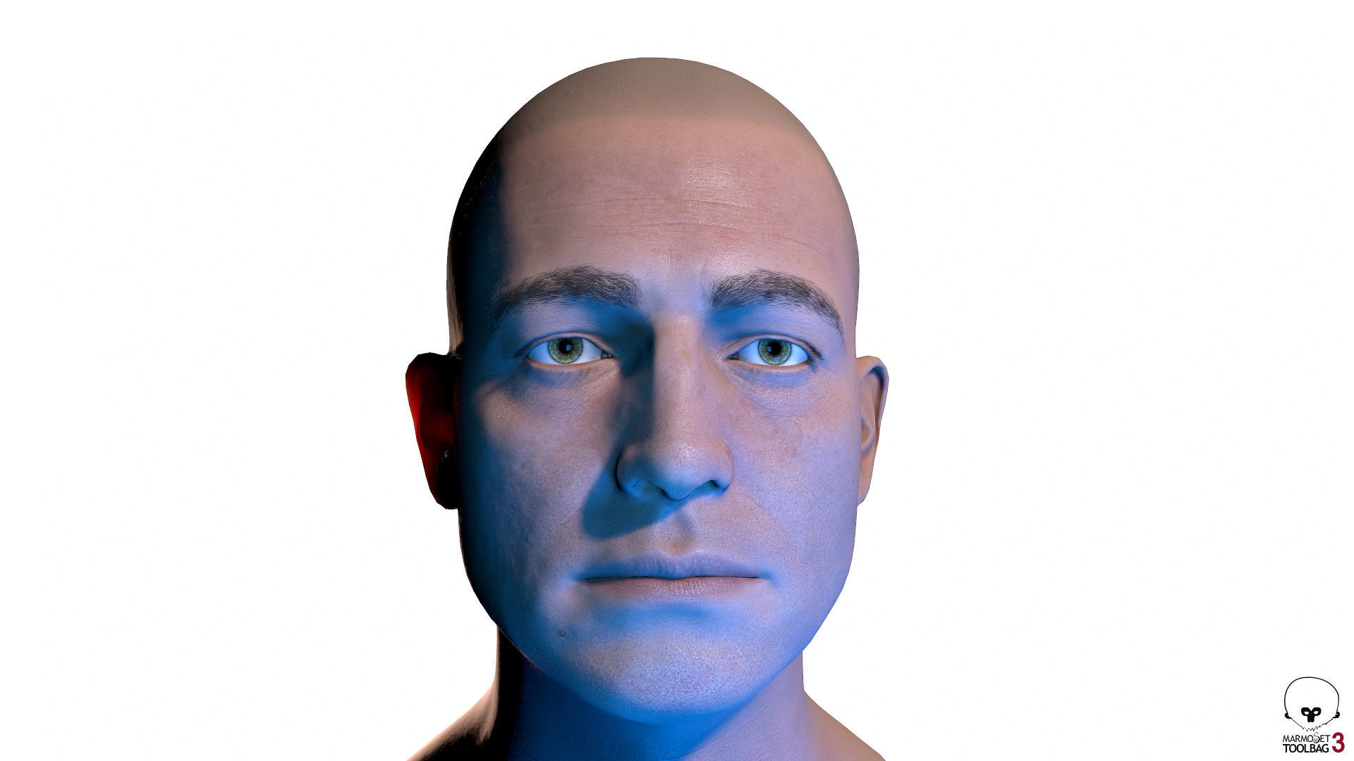 3D model Average Caucasian Male Head VR / AR / low-poly | CGTrader
