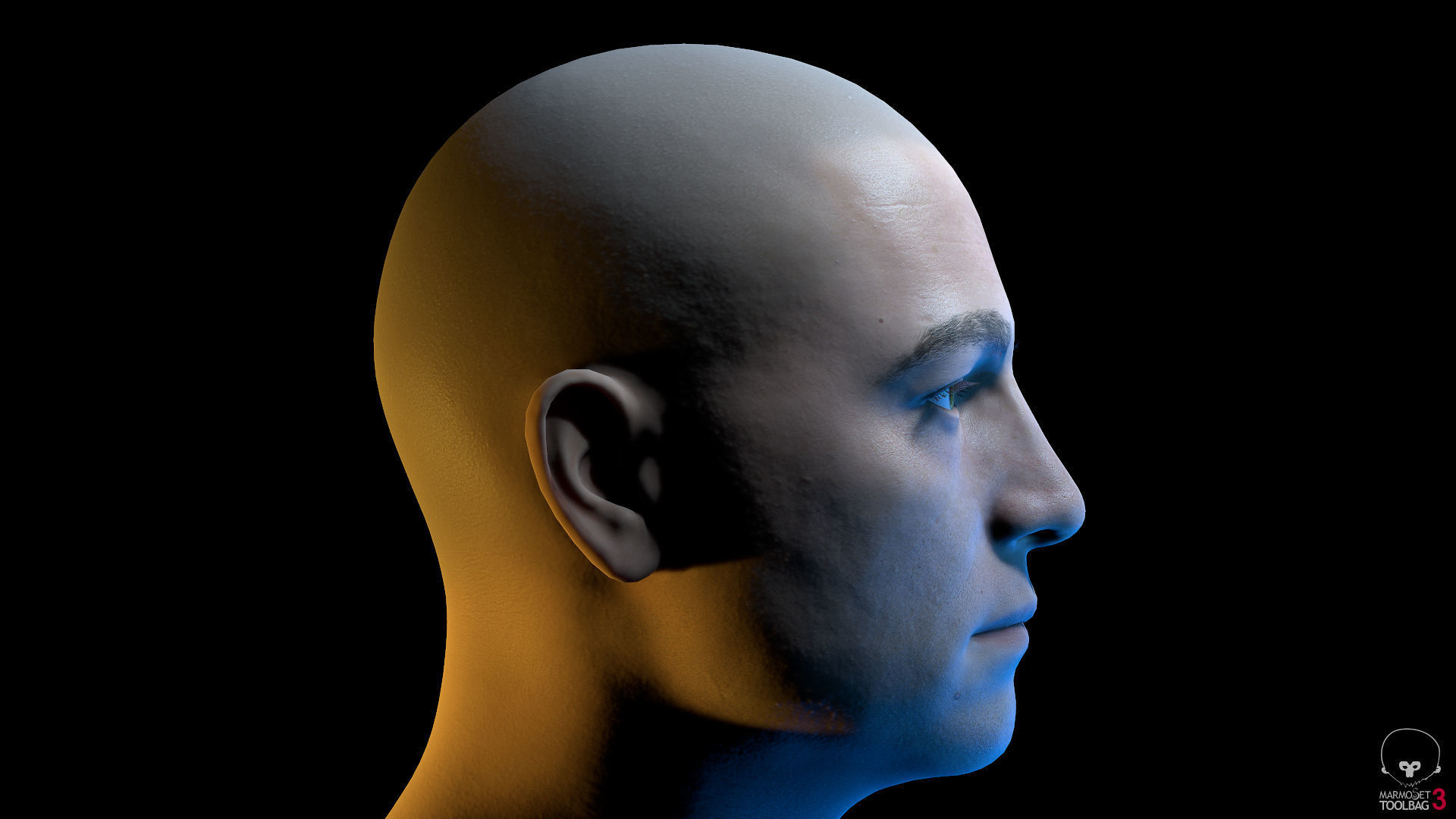 3D model Average Caucasian Male Head VR / AR / low-poly | CGTrader