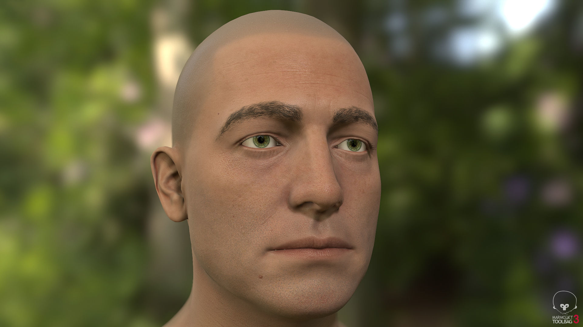 3D model Average Caucasian Male Head VR / AR / low-poly | CGTrader