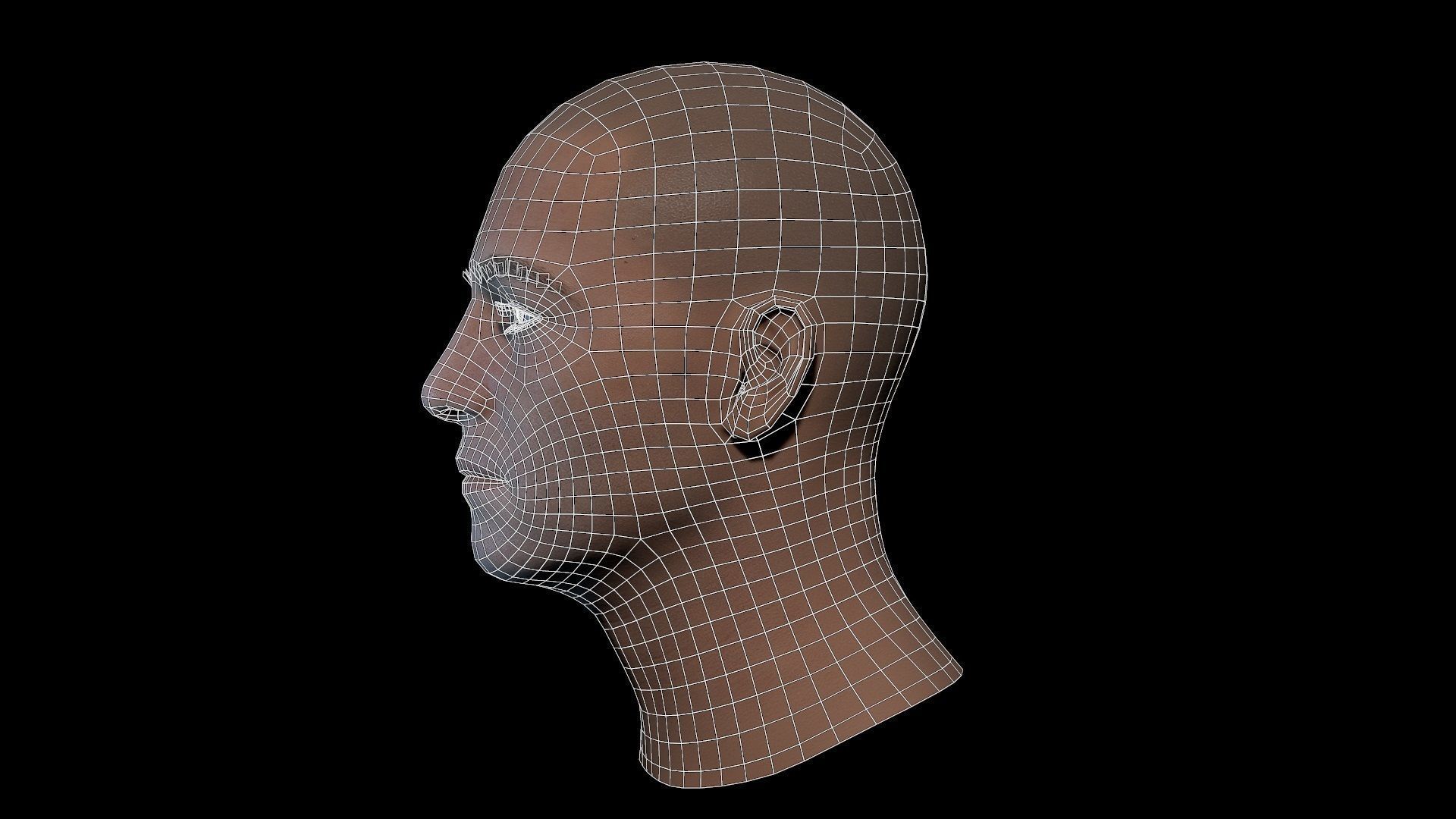 3D model Average Caucasian Male Head VR / AR / low-poly | CGTrader