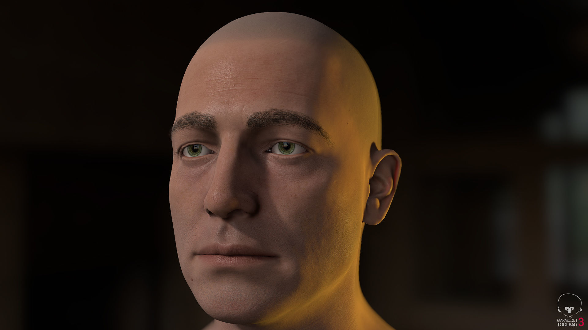 3D model Average Caucasian Male Head VR / AR / low-poly | CGTrader