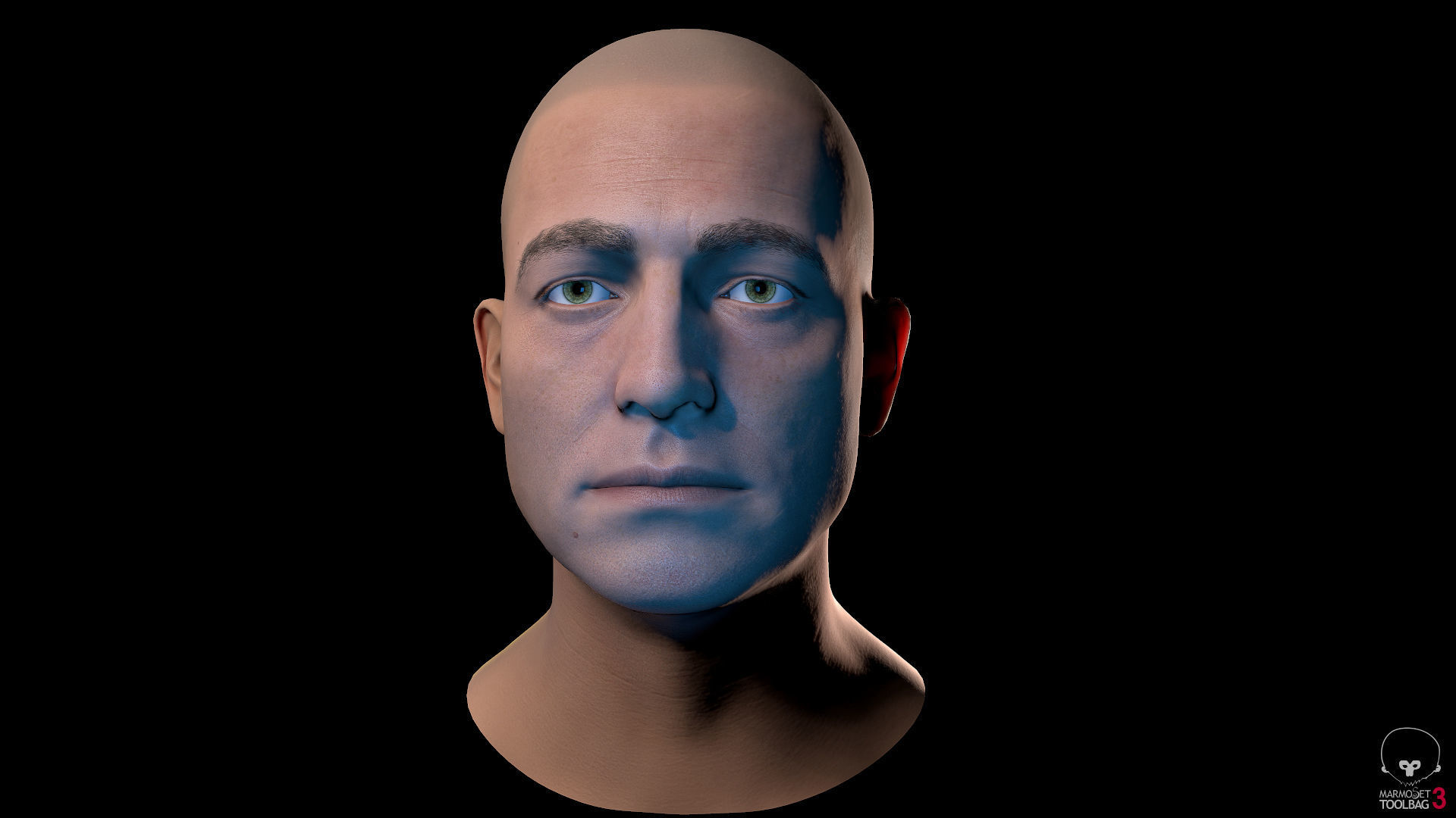 3D model Average Caucasian Male Head VR / AR / low-poly | CGTrader