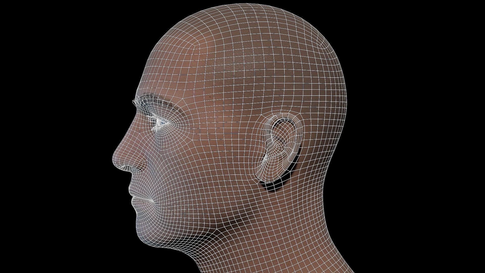 3D model Average Caucasian Male Head VR / AR / low-poly | CGTrader