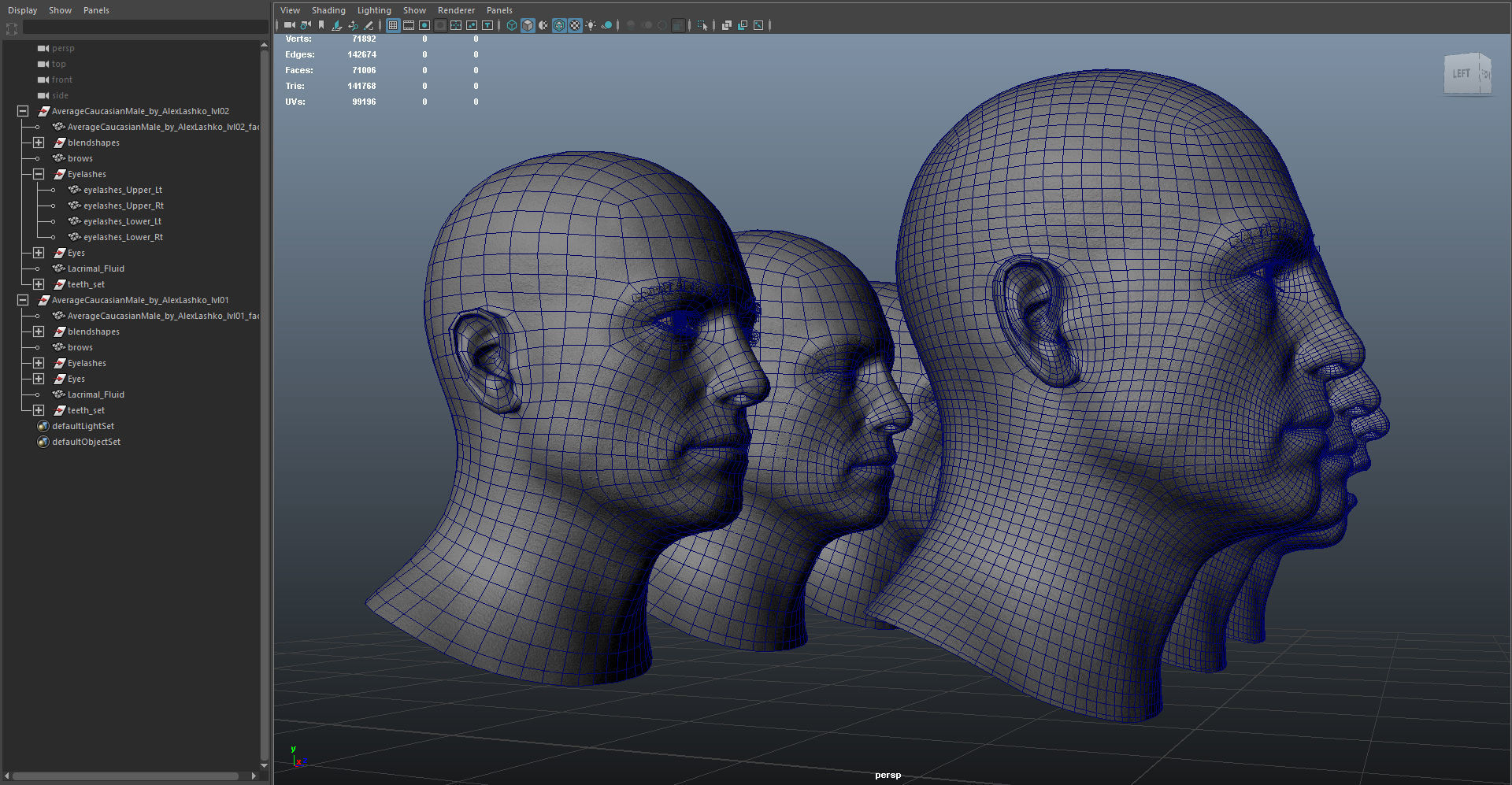 3D model Average Caucasian Male Head VR / AR / low-poly | CGTrader