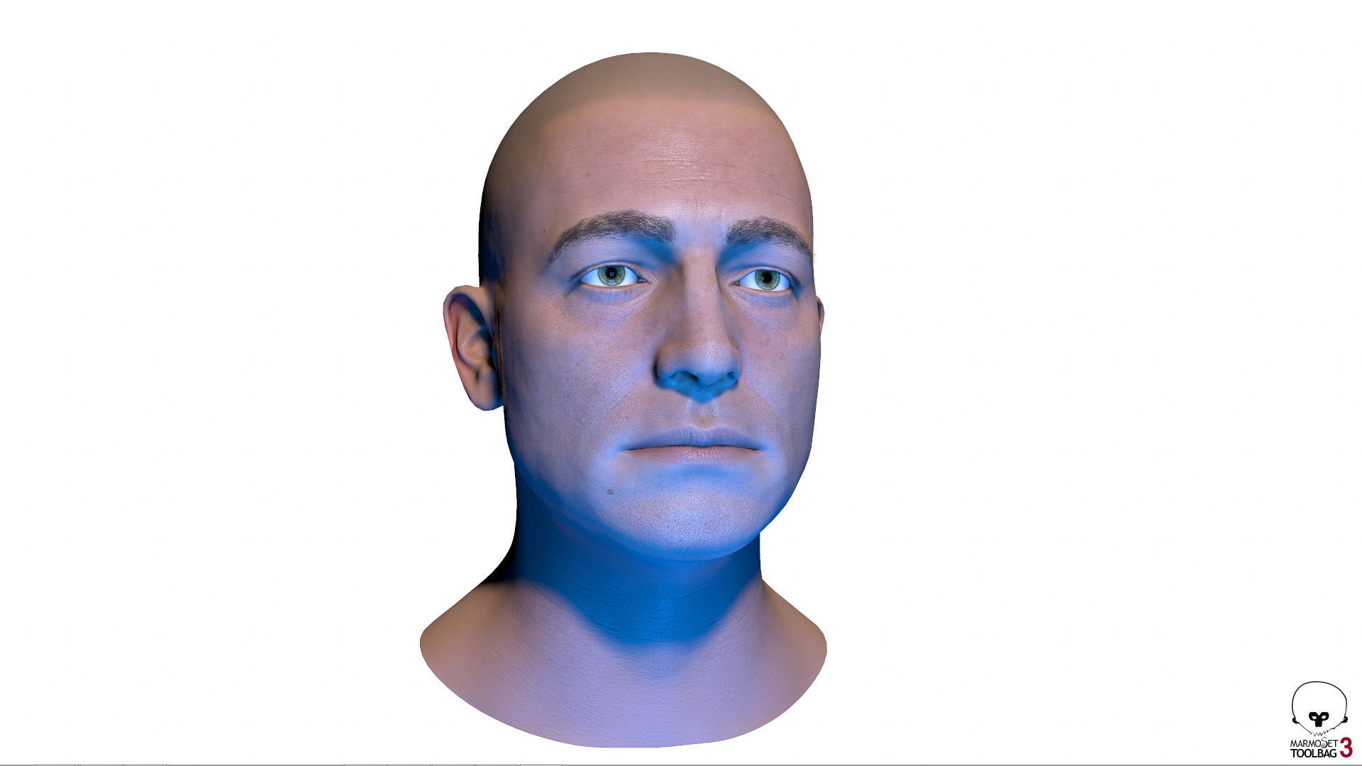 3D model Average Caucasian Male Head VR / AR / low-poly | CGTrader