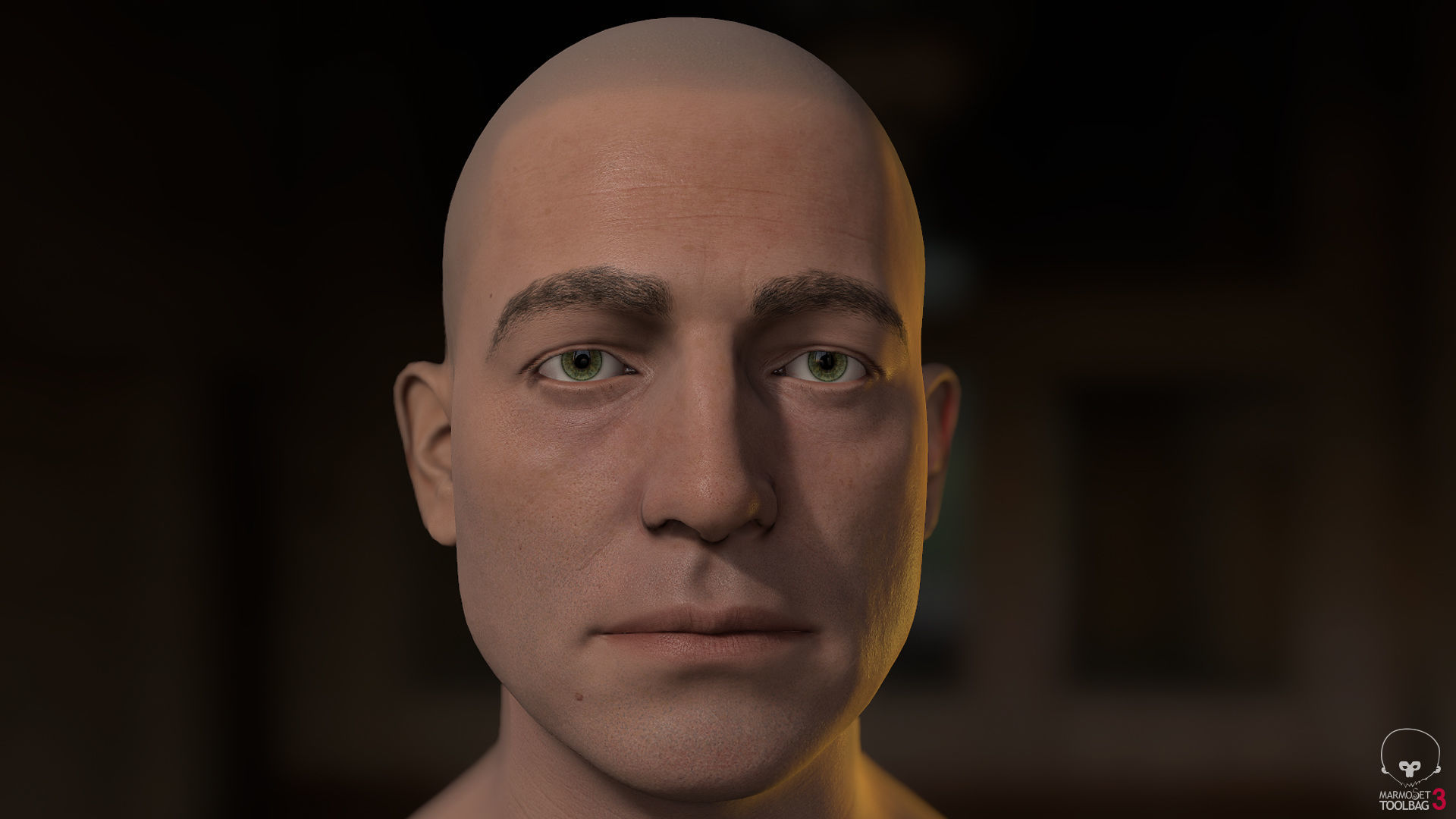 3D model Average Caucasian Male Head VR / AR / low-poly | CGTrader