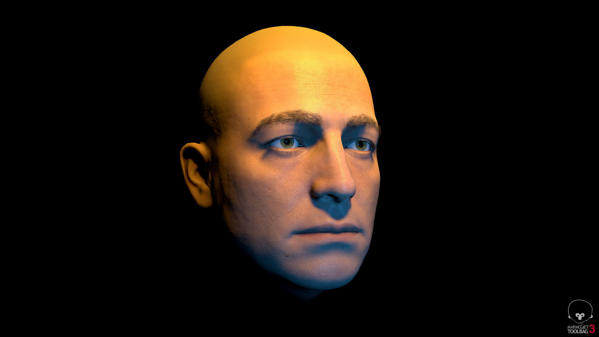 3D model Average Caucasian Male Head VR / AR / low-poly | CGTrader